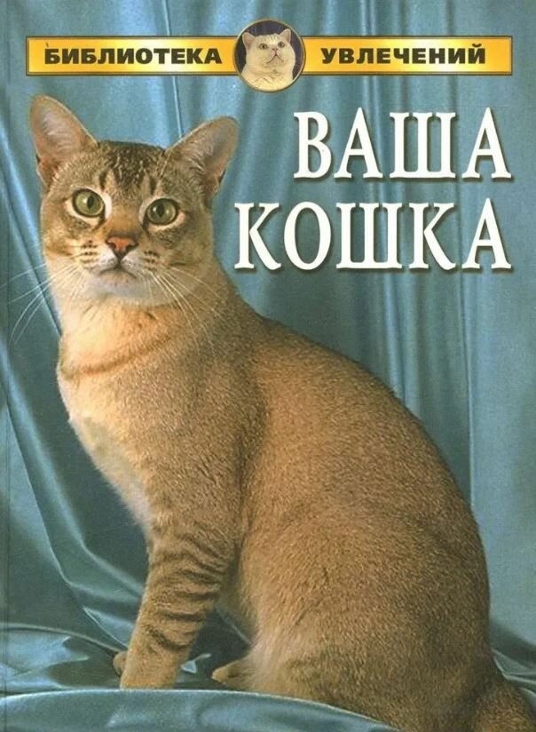 Ваша кошка