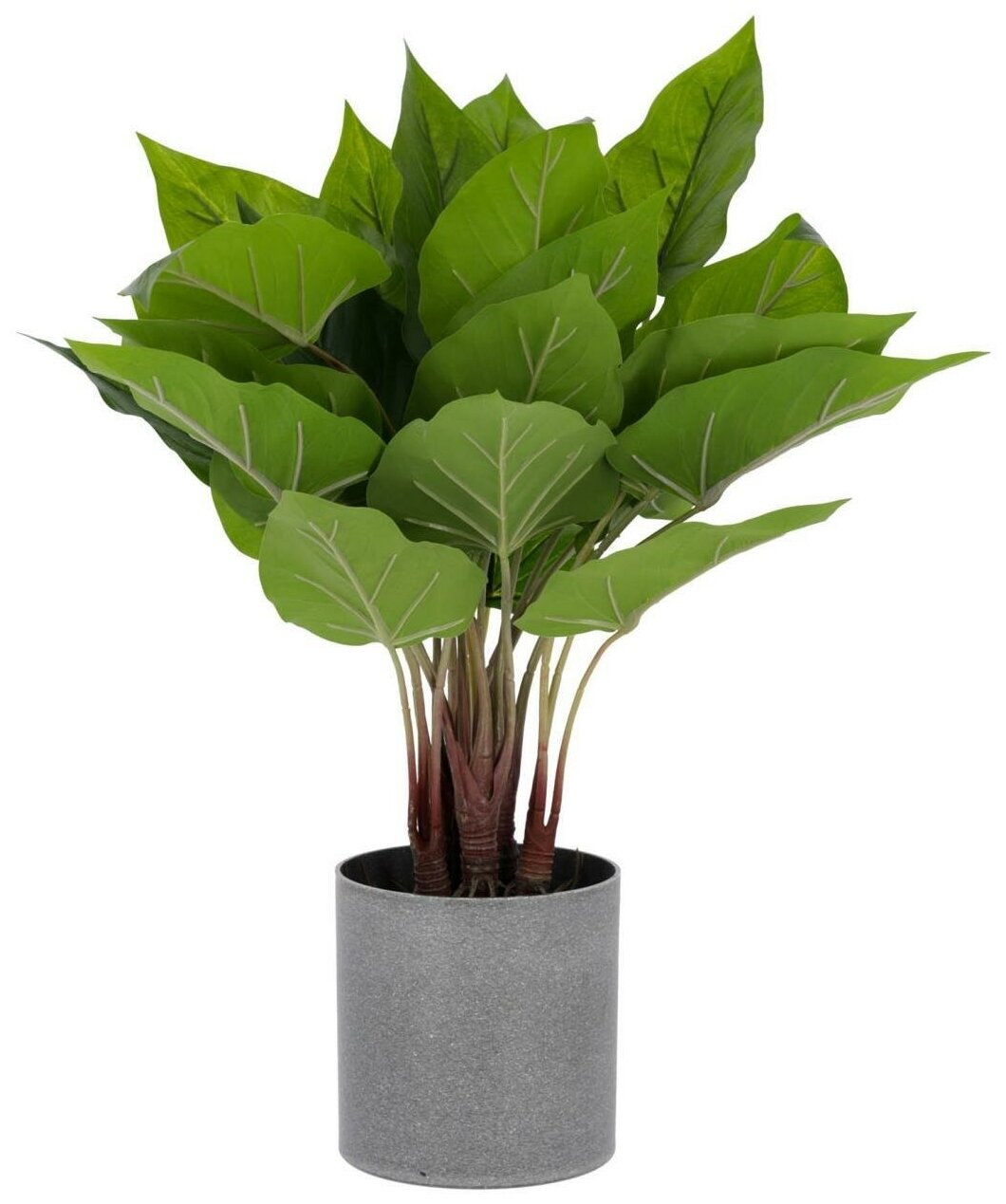 Flower Искусственный антуриум 45см