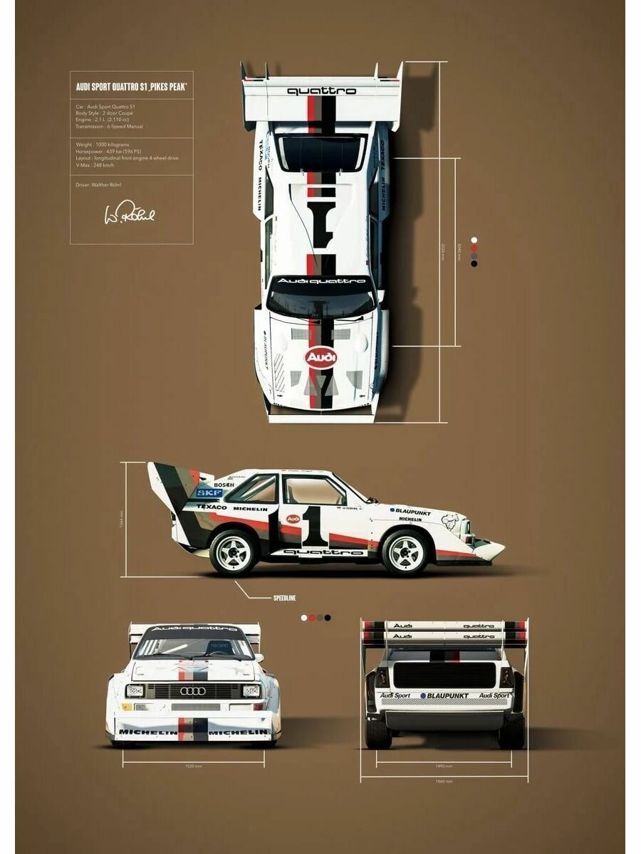 Постер "Audi Quattro S1 Pikes Peak"