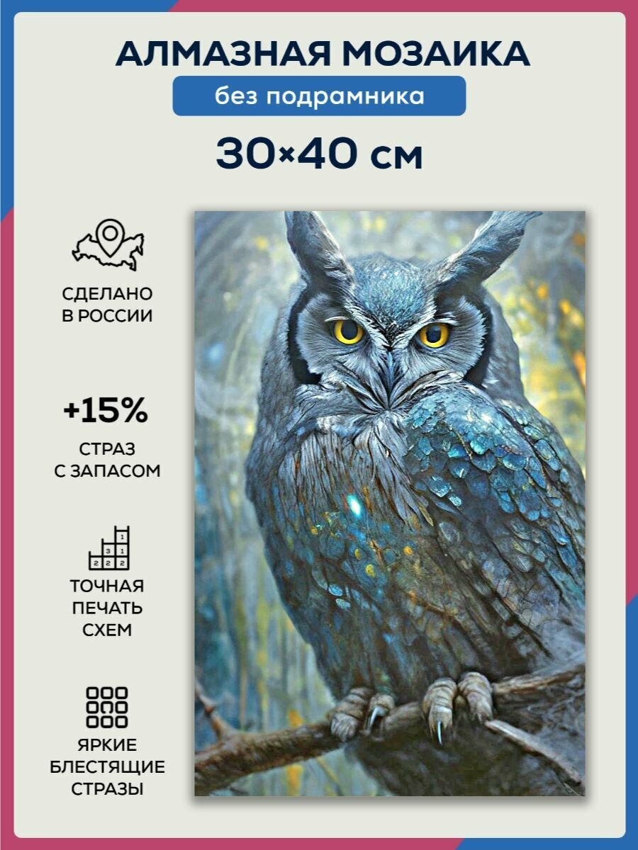 Алмазная мозаика 30x40 Сова без подрамника