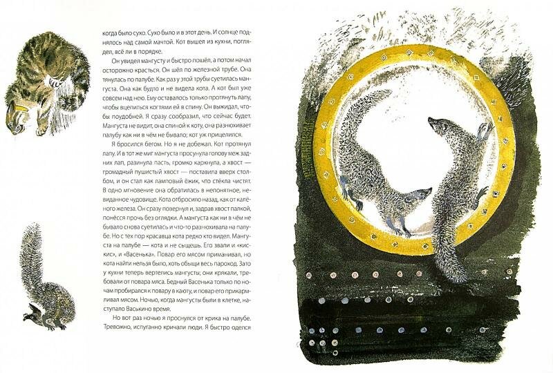 Книга Акварель Мангуста. 2013 год, Житков Б.