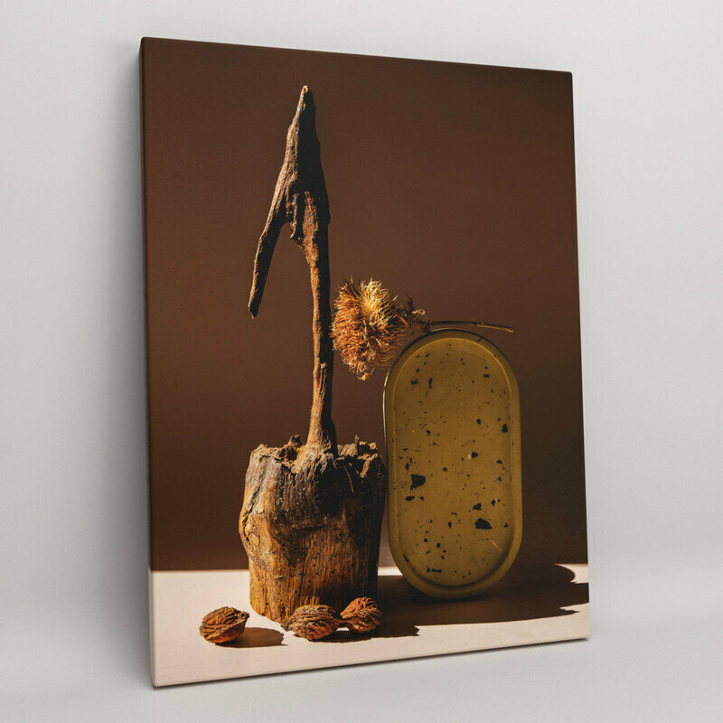 Картина на холсте (интерьерный постер) "Натюрморт - засохшее дерево", с деревянным подрамником, размер 45x60 см