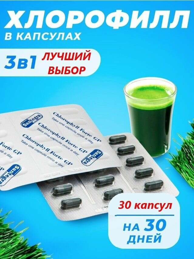 Chlorophyll Forte Santegra(Сантегра), Хлорофилл Форте, природный антисептик, улучшает пищеварение, укрепит иммунитет, жидкий хлорофилл в капсулах 50 мг, 30 капсул на 30 дней