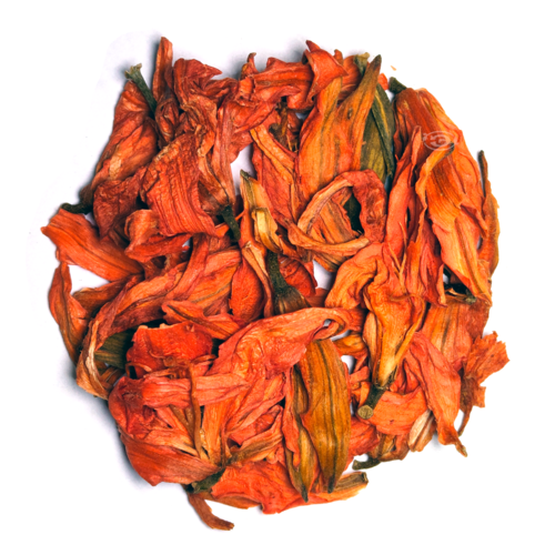 Лилия карликовая цветы, травяной чай