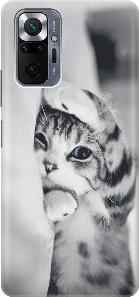 Силиконовый чехол Игривый котенок на Xiaomi Redmi Note 10 Pro / Сяоми Редми Ноут 10 Про