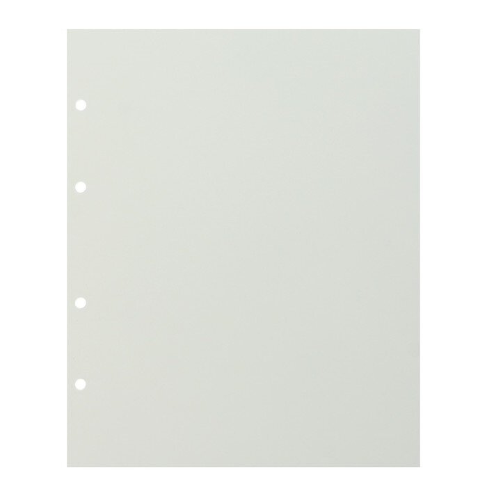 Комплект из 20 листов "стандарт", белых разделительных. 250х310 мм. Альбомов. Формат "GRAND", размер 250х310 мм. Альбомов