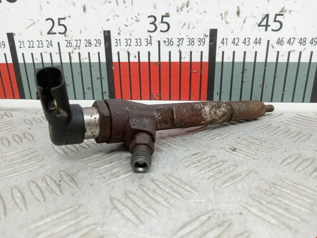 Форсунка дизельная электрическая Nissan Qashqai 1 166009445R арт. 2186144