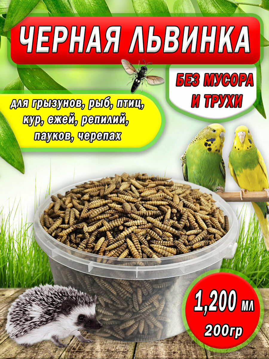 Черная львинка, лакомство для грызунов, рыб, 200грамм