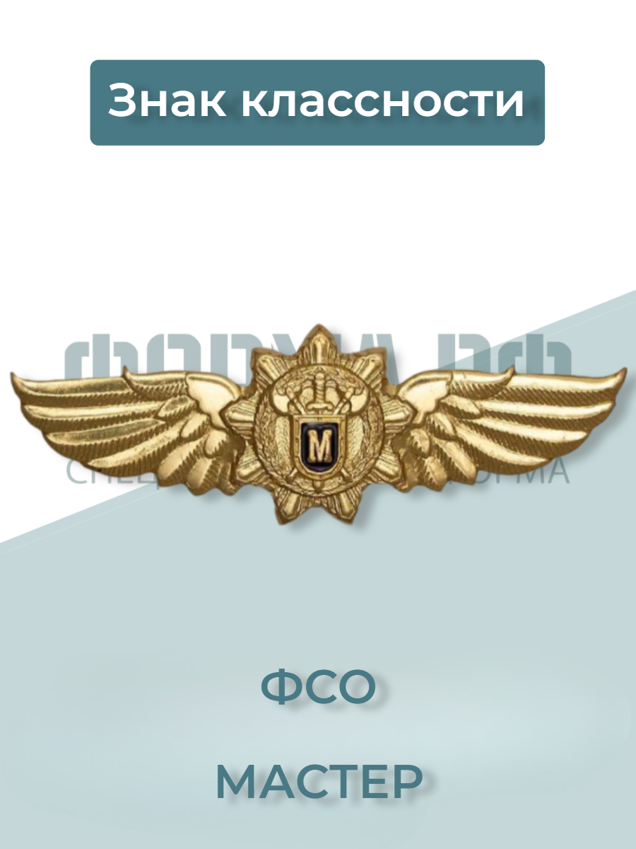 Знак классности ФСО Мастер