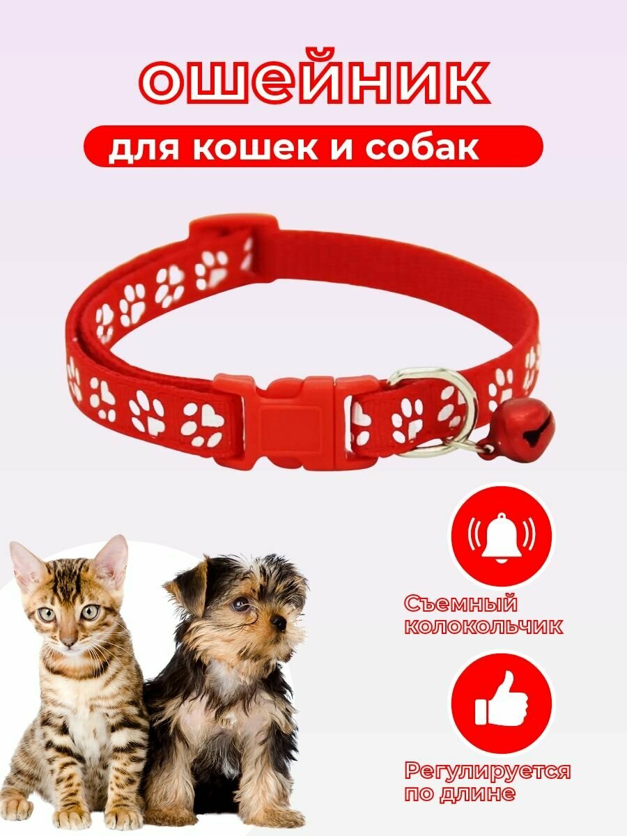 Ошейник для кошек и мелких пород собак , универсальный , красный
