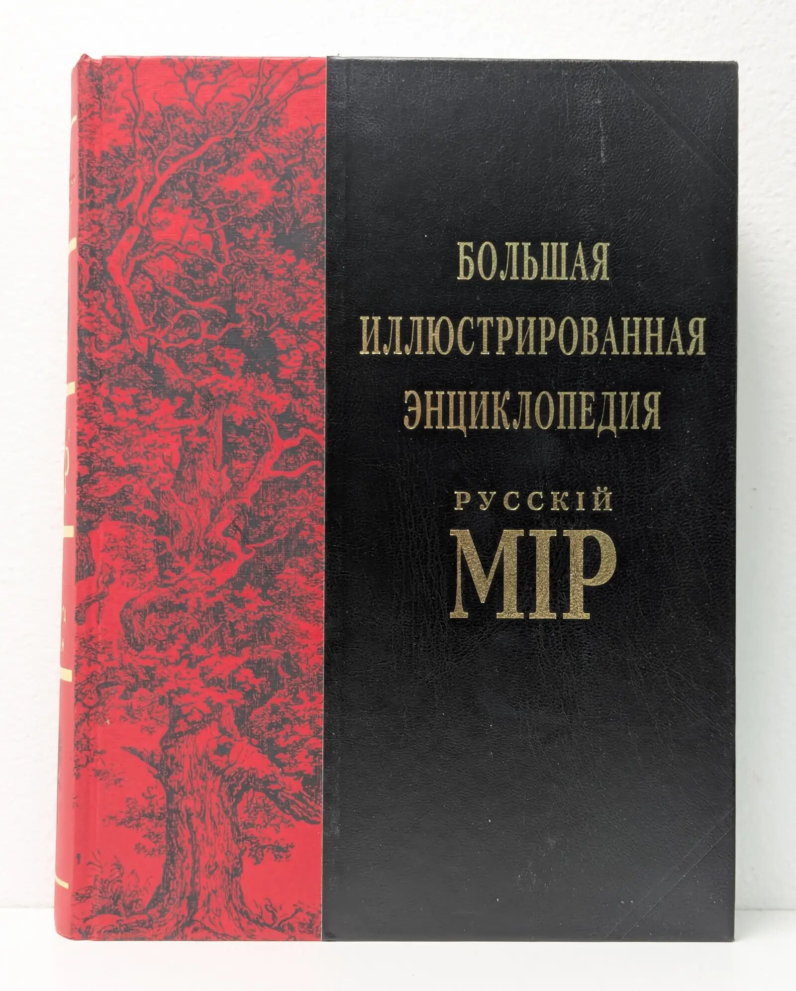 Большая иллюстрированная энциклопедия Русский мир. В 14 томах. Том 5. Афродита — Барайон Бутромеев Владимир Петрович 2007