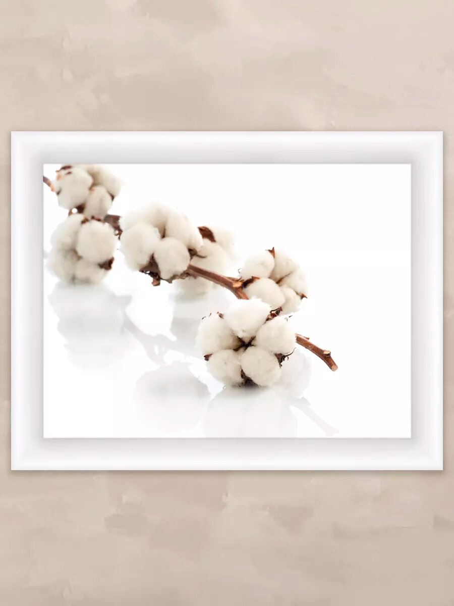 Картина на стену 30х40 см для прихожей белый хлопок ветка в гостиную