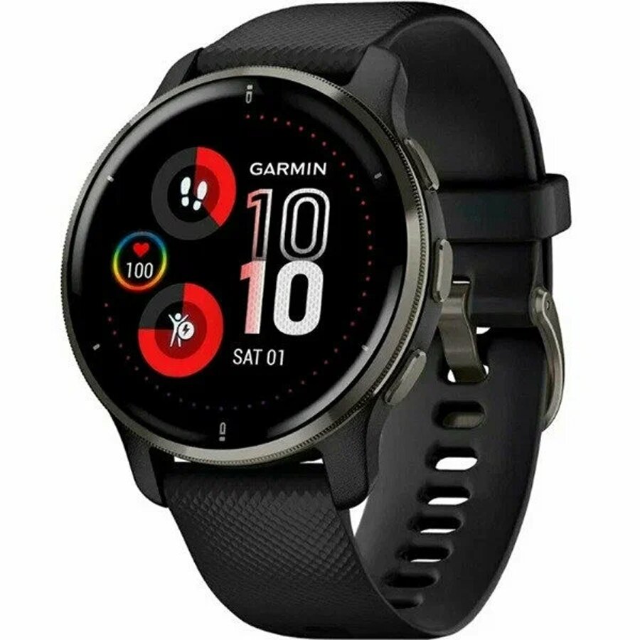 Смарт-часы Garmin Venu 2 Plus Slate Black ( Серый / Черный )