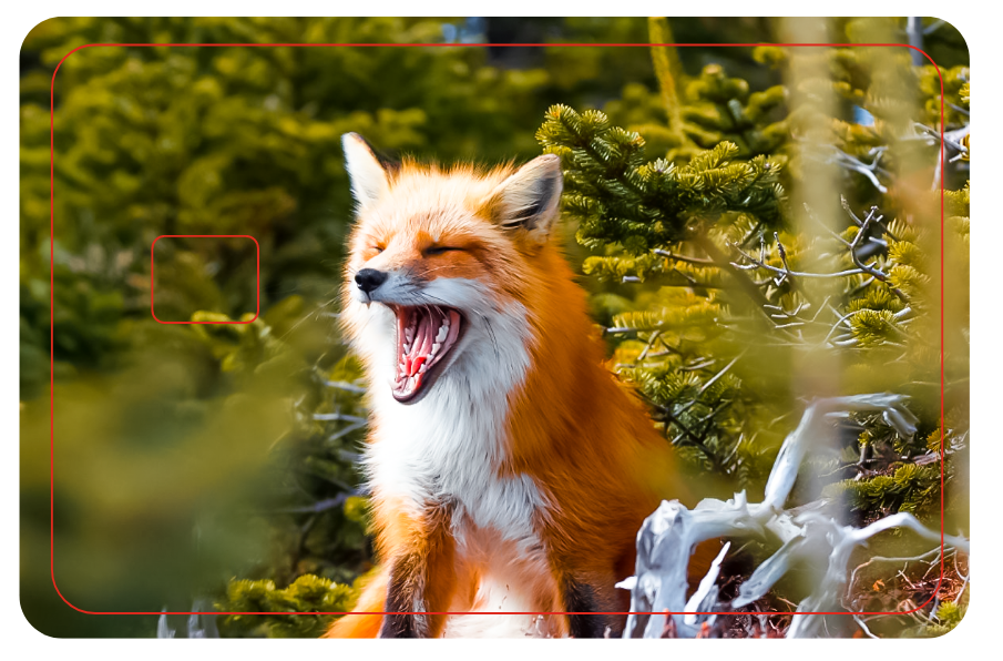 Наклейка на банковскую карту, стикер на карту, лиса