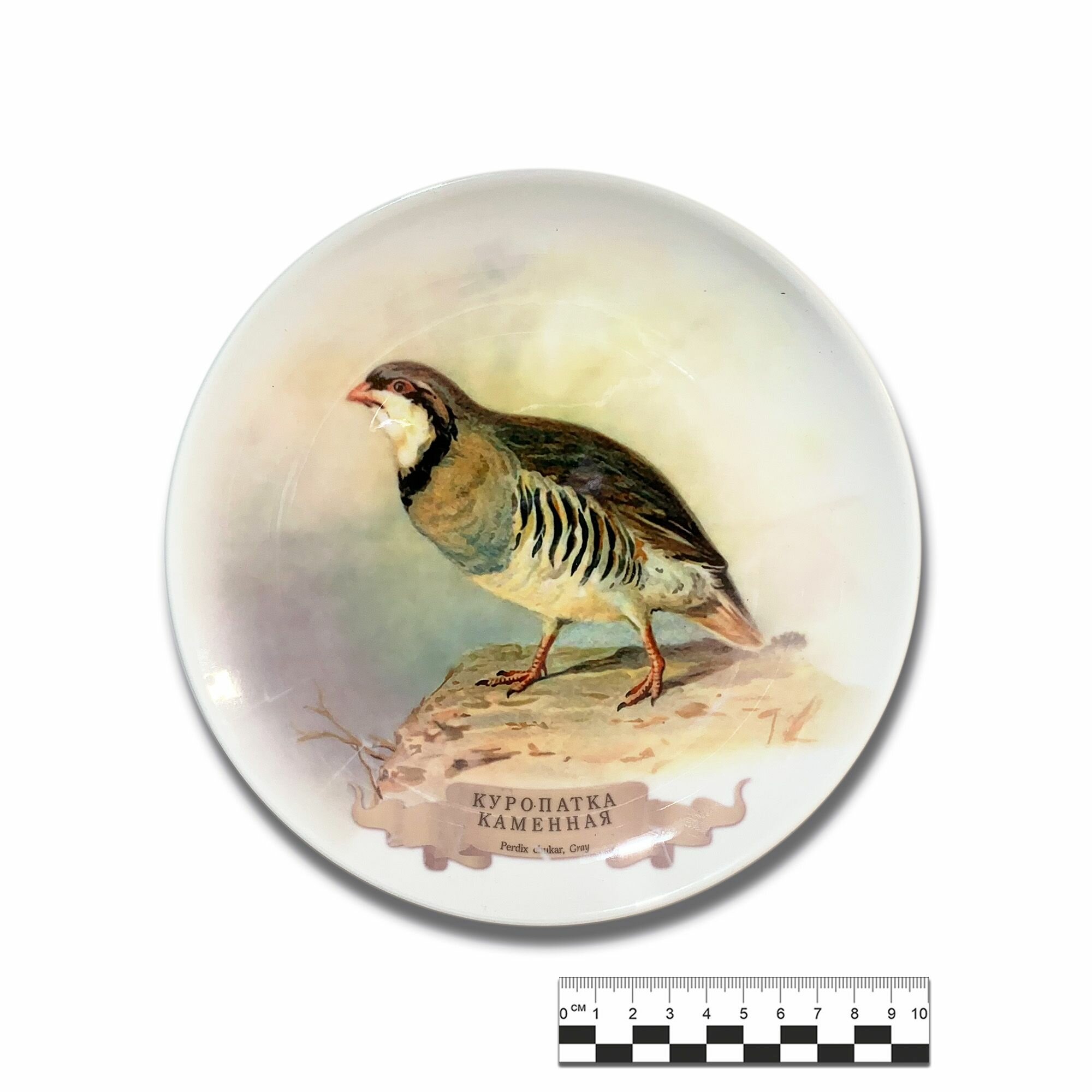 Декоративная тарелка с изображением куропатки каменной исп.1т