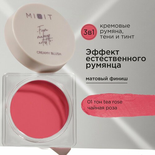 MIXIT Кремовые румяна для лица. Профессиональная косметика для макияжа ...