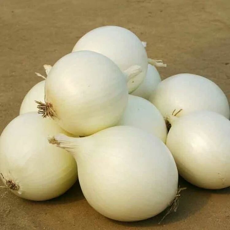 Коллекционные семена лука репчатый Комета F1