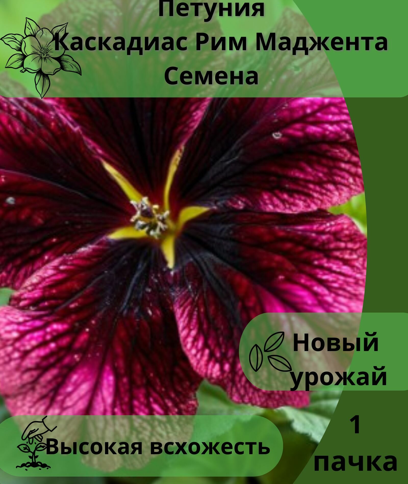 Петуния Каскадиас Рим Маджента, семена 10шт