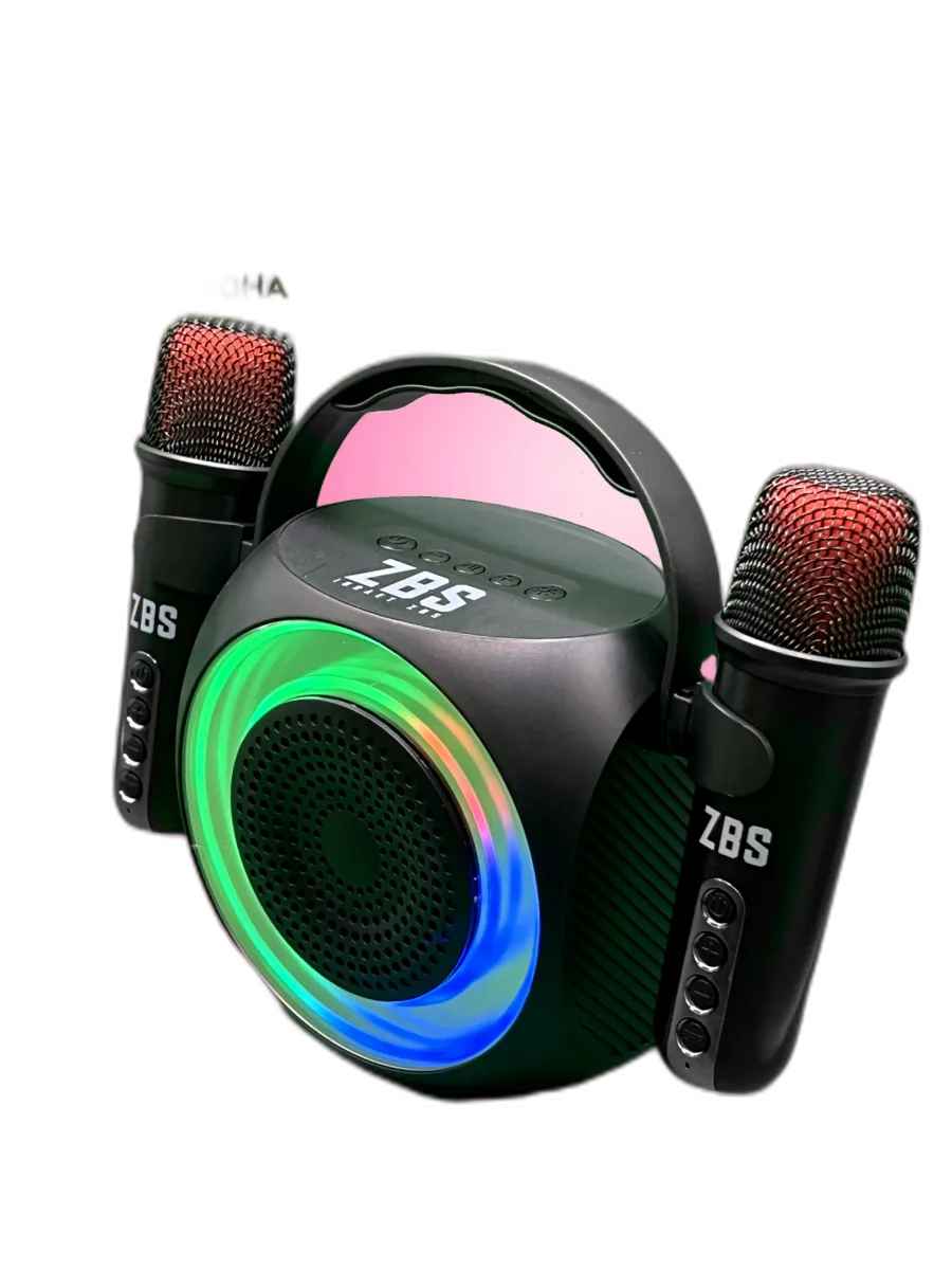 Колонка караоке с двумя микрофонами