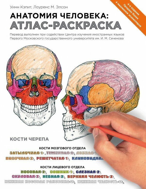 Анатомия человека: атлас-раскраска / Элсон Л. Кэпит У.