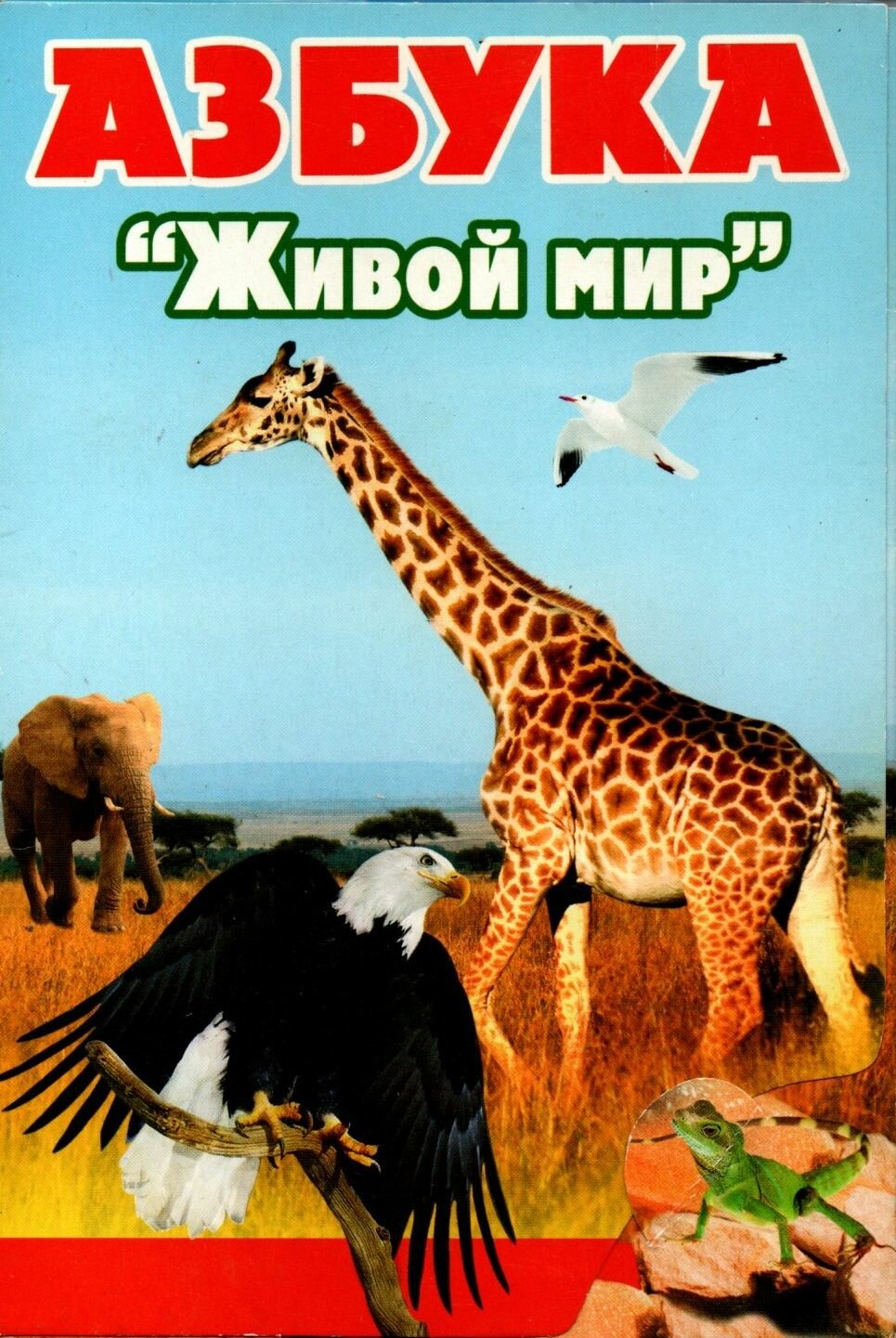 Азбука Животный мир 33 карточки