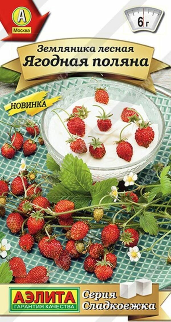 Земляника лесная Ягодная поляна