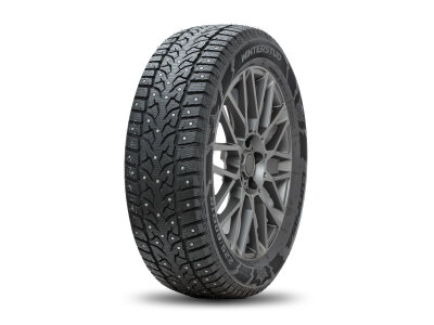 Compasal Winter Stud 255/45 R20 T105 шип