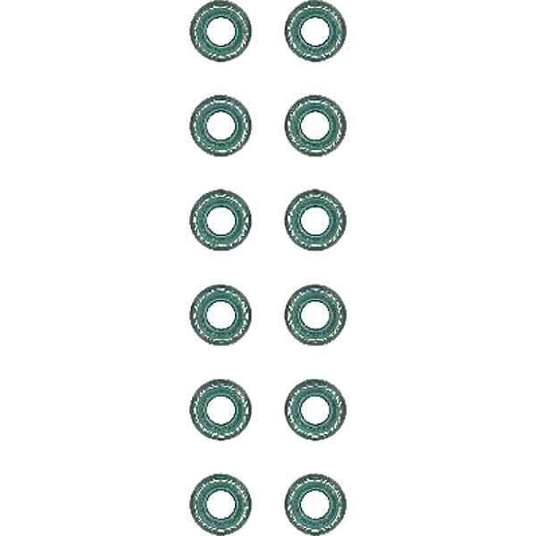 REINZ 12-26058-01 (000053485812X / 02710967512X / 051560) колпачки маслосъемные комплект VW 1.0-2.0 / 1.9d / td / sdi 91