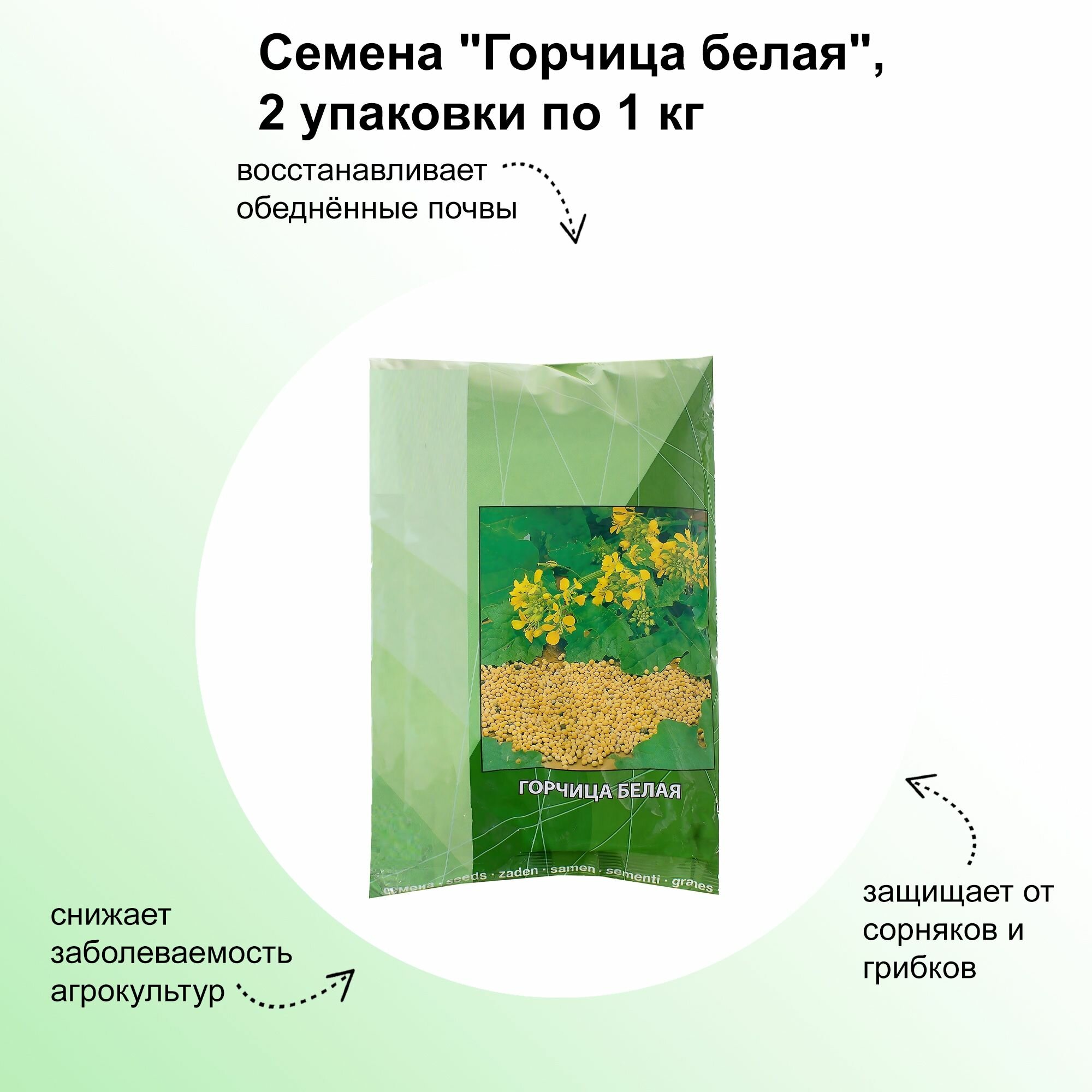 Сидерат Горчица белая 1 кг, комплект 2 шт: для подготовки почвы к посадке основной культуры; для сокращения севооборота и уменьшения промежутков между посевом культуры на одном месте