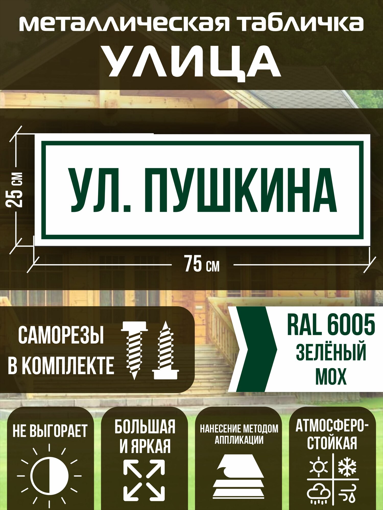Адресная табличка на дом улица Пушкина RAL 6005 зеленая