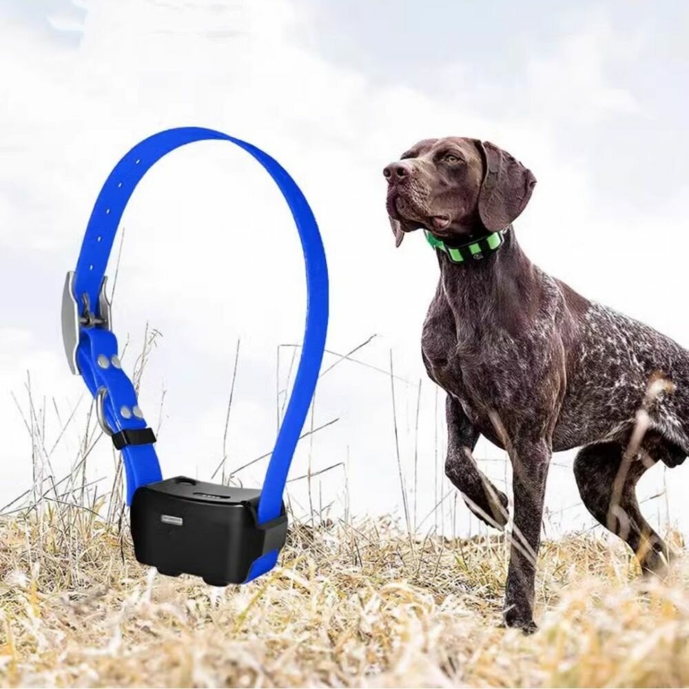 Локатор для охотничьих собак -lj