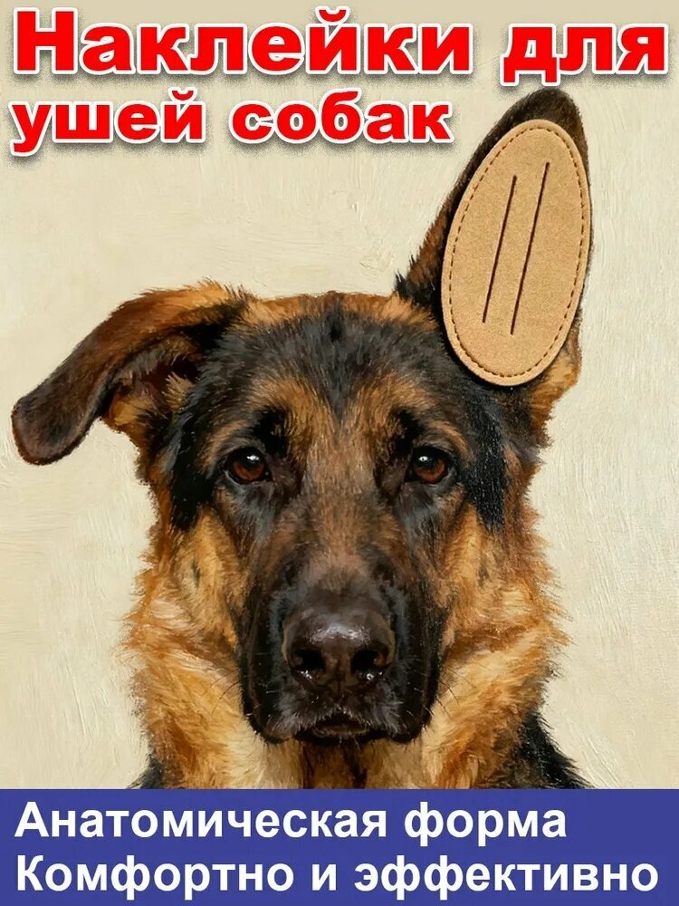 Пластыри для постановки ушей, корректирующие накладки для поднятия ушей у собак безопасные для ушного хряща.