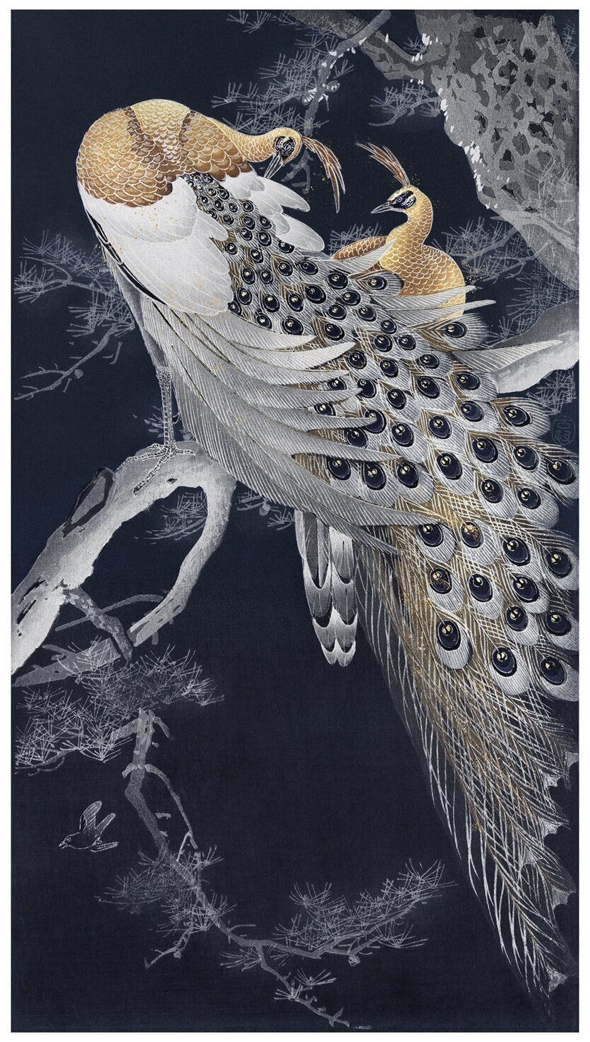 Постер / Плакат / Картина Два павлина 50х70 см в раме