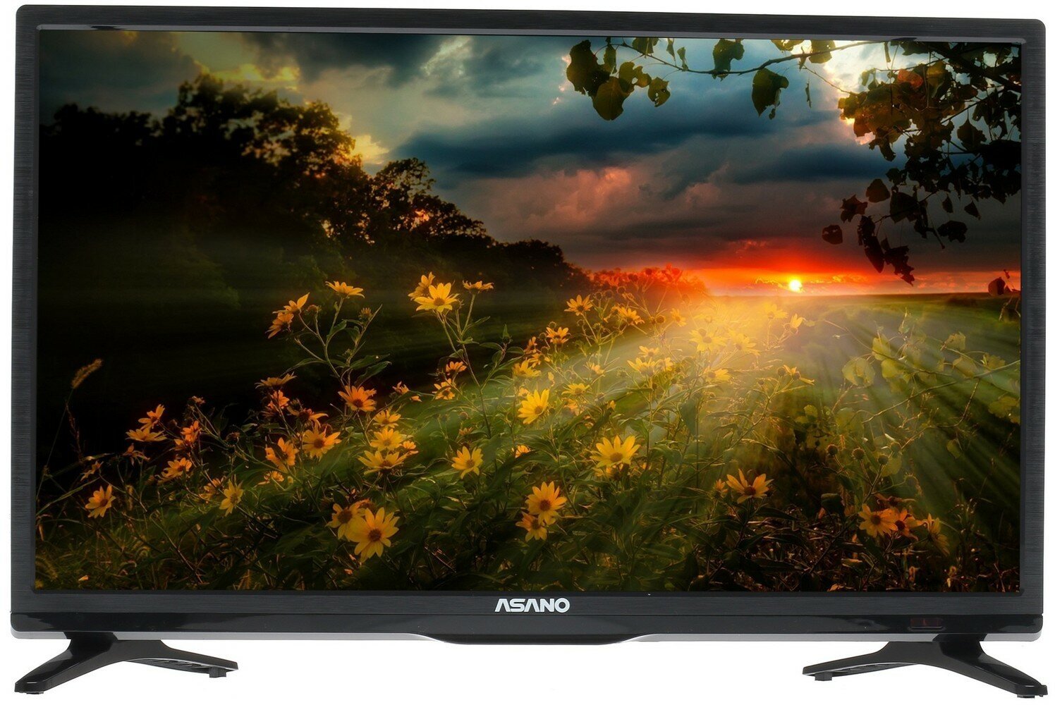 24" Телевизор Asano 24LH1020T LED (2019), черный