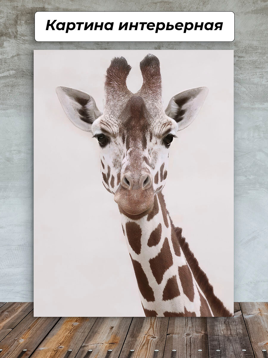 Картина на стену 50х70 Жираф