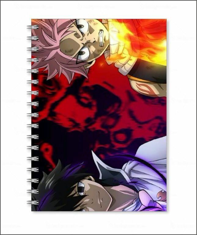 Тетрадь Хвост Феи, Fairy Tail №19