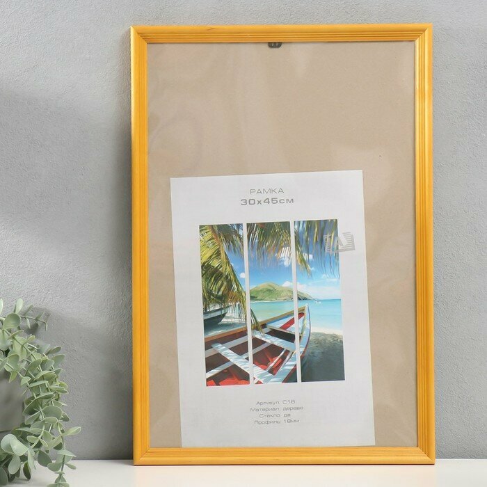 Фоторамка для фото 30×45 см Image Art, Austin, дерево, (пластиковый экран), янтарь