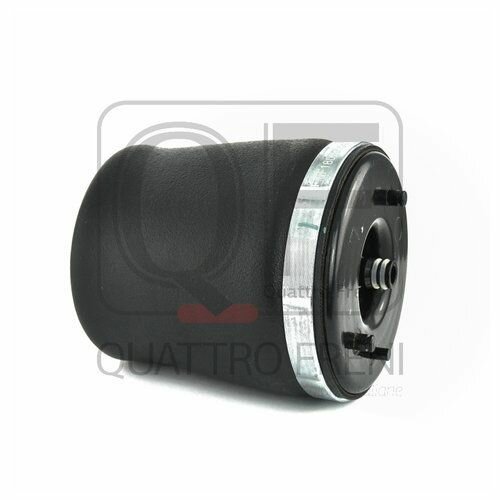 Пневмоподушка Quattro Freni QF18D00054 для BMW 5 серия E39