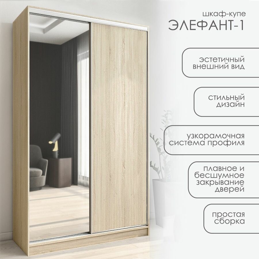 Шкаф-купе Элефант-1, 100*230*60, дуб санома, с зеркалом, с ящиками