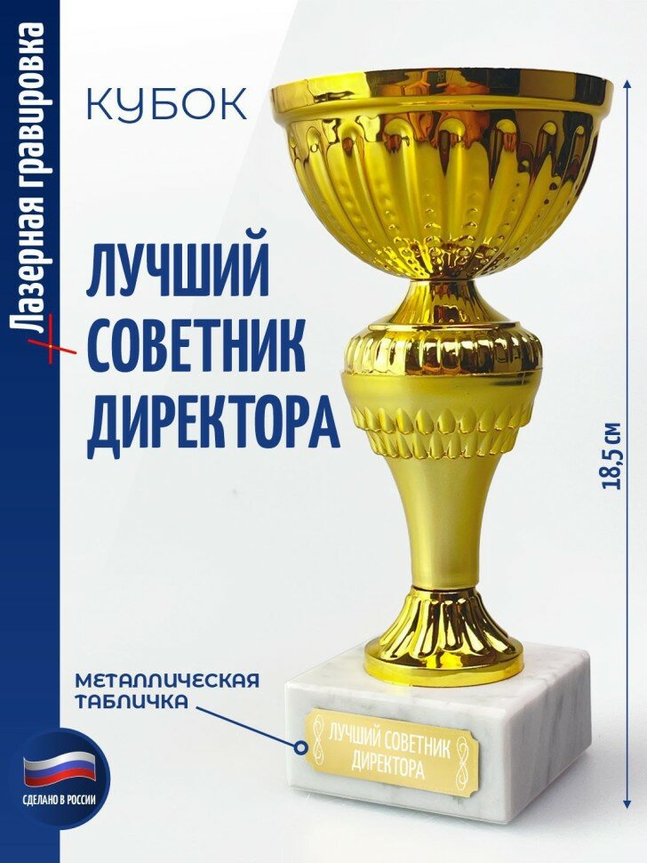 Кубок "Лучший советник директора" (18,4 см)