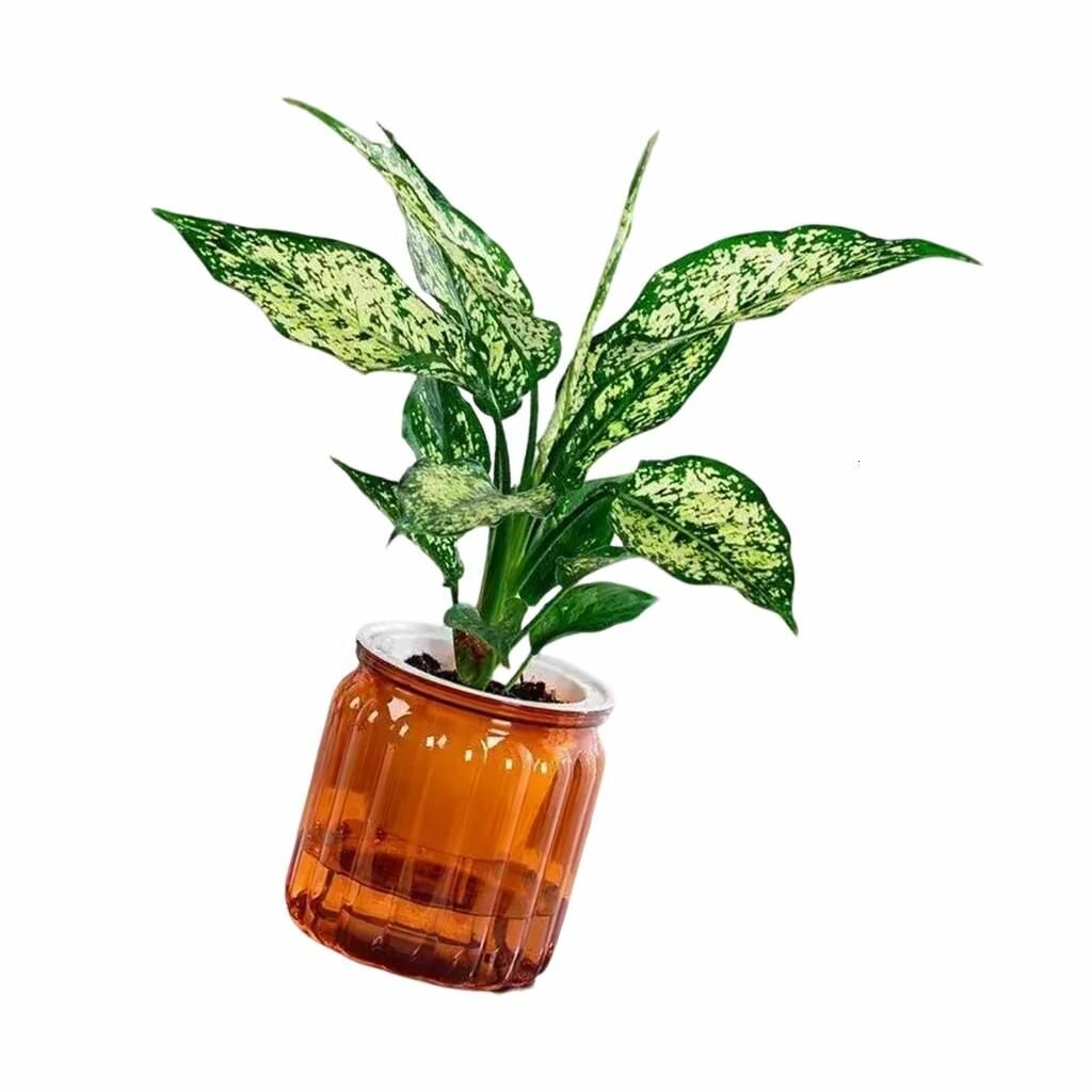 Горшок для цветов, Креативный самопоглощающий ленивый гидропонный цветочный горшок-прозрачный оранжевый