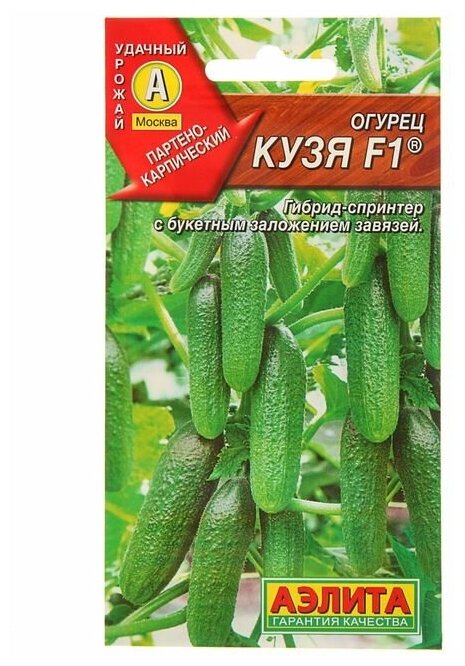 Семена Огурец 'Кузя' F1, партенокарпический, 10 шт