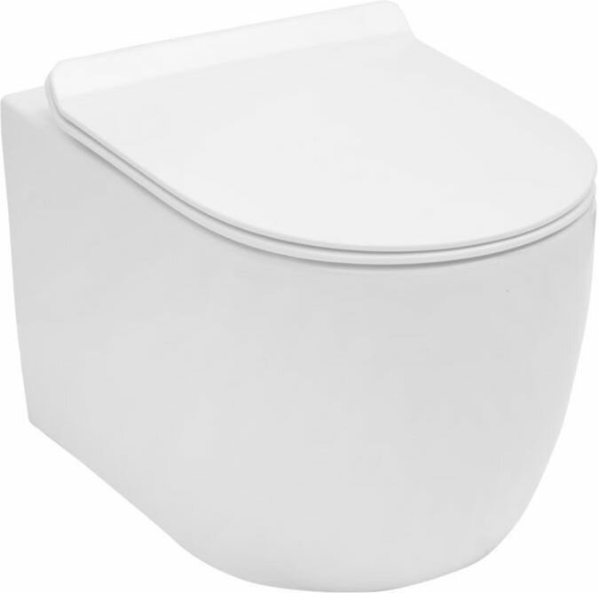 Унитаз Aquanet Cetus-W 211908 подвесной безободковый с микролифтом