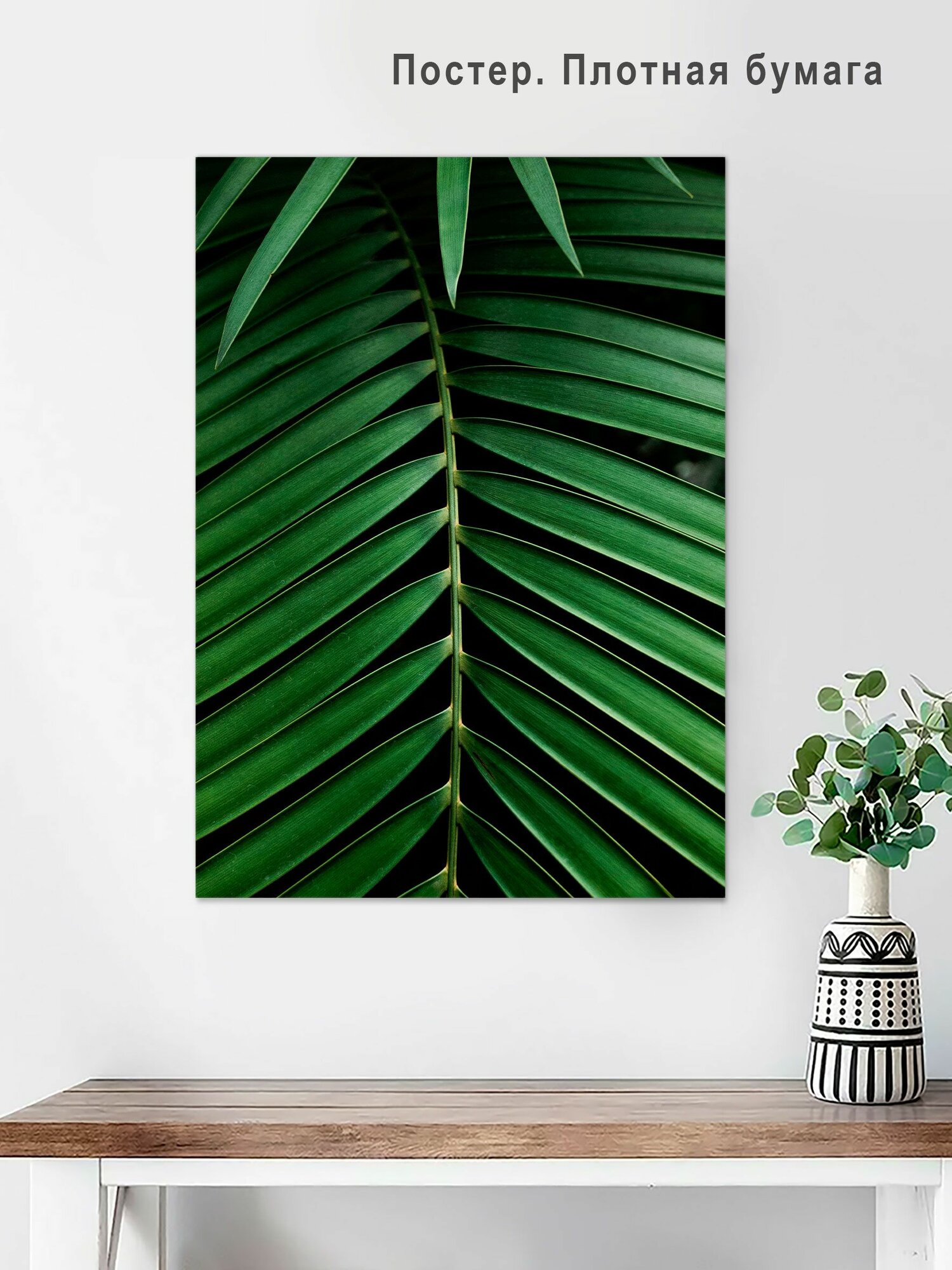 Постер, плакат Зеленые Листья пальмы 40х60см