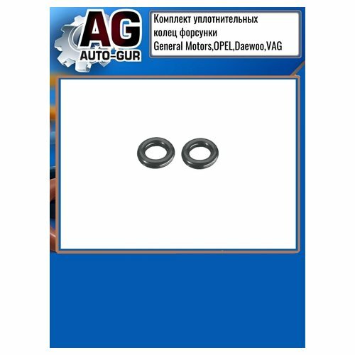 Комплект уплотнительных колец форсунки General Motors, OPEL, Daewoo, VAG AUTO-GUR RKIT2