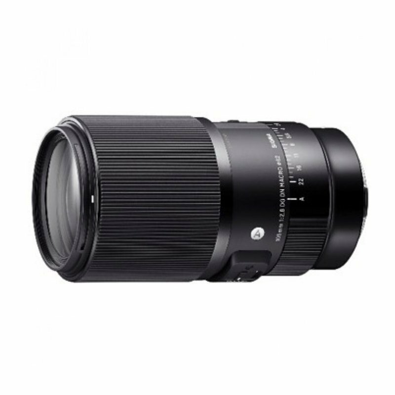 Sigma AF 105mm f/2.8 DG DN Macro (Art) for Sony E