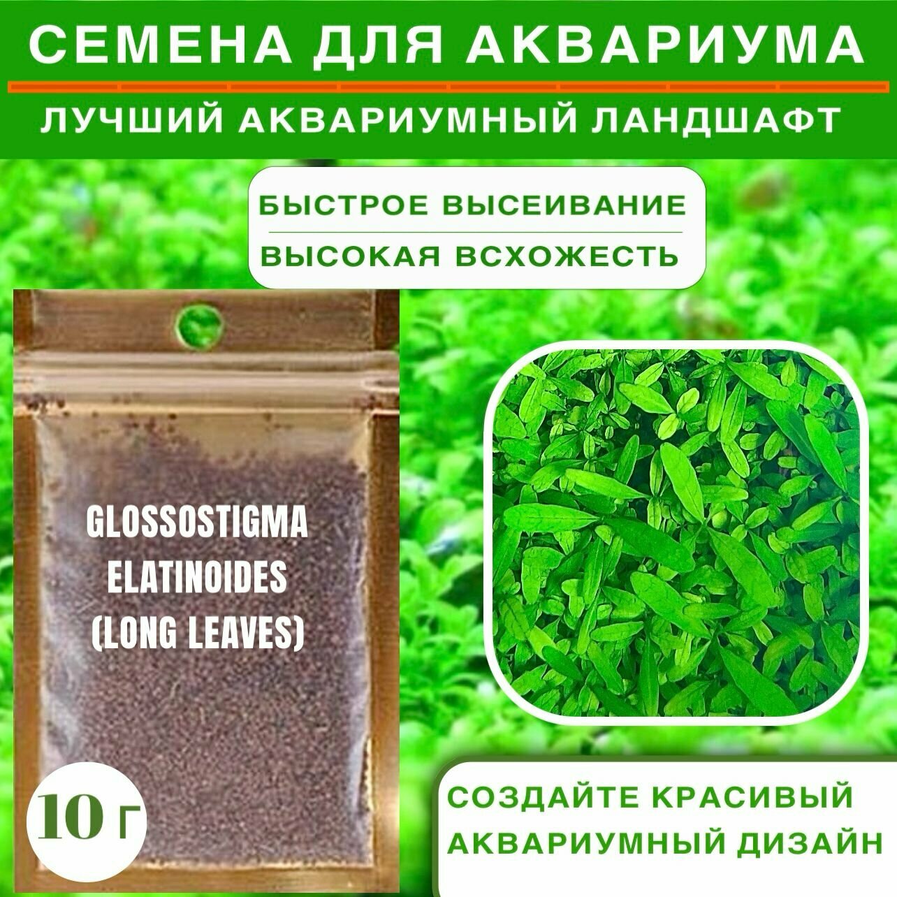 Семена растений для аквариума "Glossostigma elatinoides" Oval leaves
