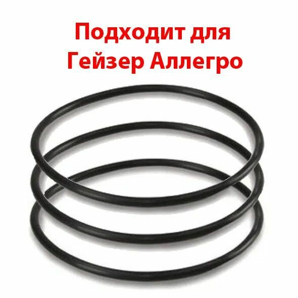 Уплотнительное кольцо для корпуса 10 SL фильтра Гейзер Аллегро 3шт.