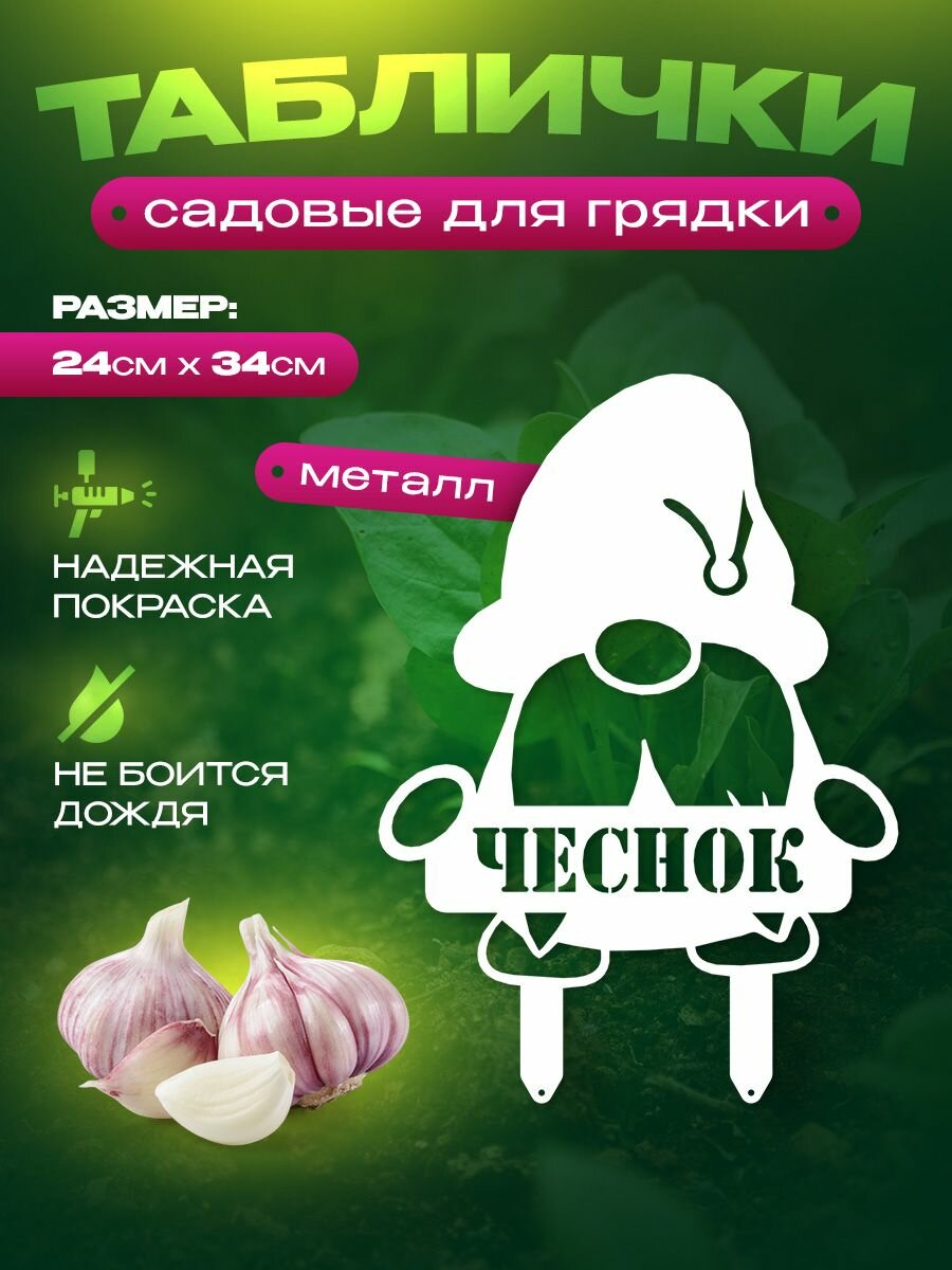 Табличка на грядку Гном садовод "Чеснок"