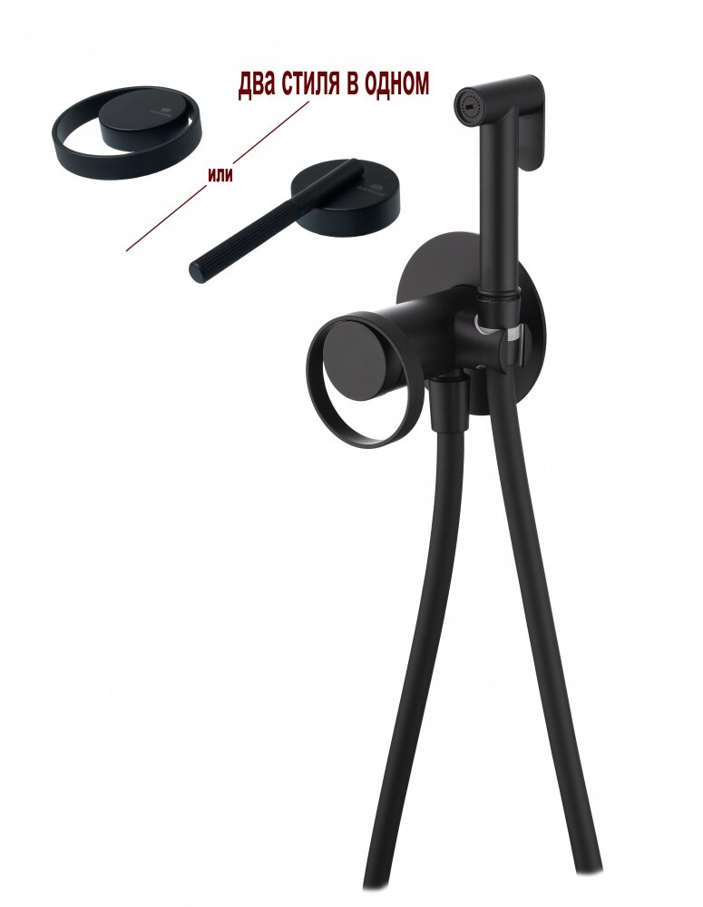 Встраиваемый смеситель с гигиеническим душем из латуни Ganzer GZ19157-C черный